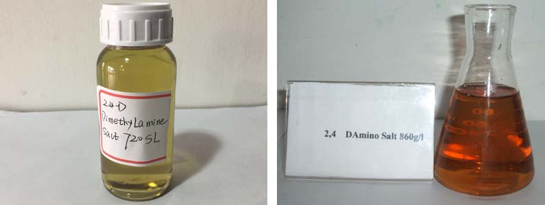 2,4-D dimethylamine salt from China manufacturer - Hangzhou Tianlong ...